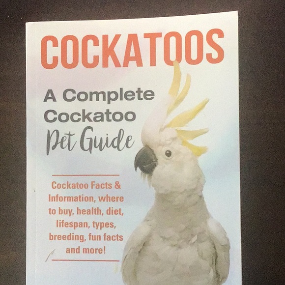 Bird | Cockatoo Book | Poshmark